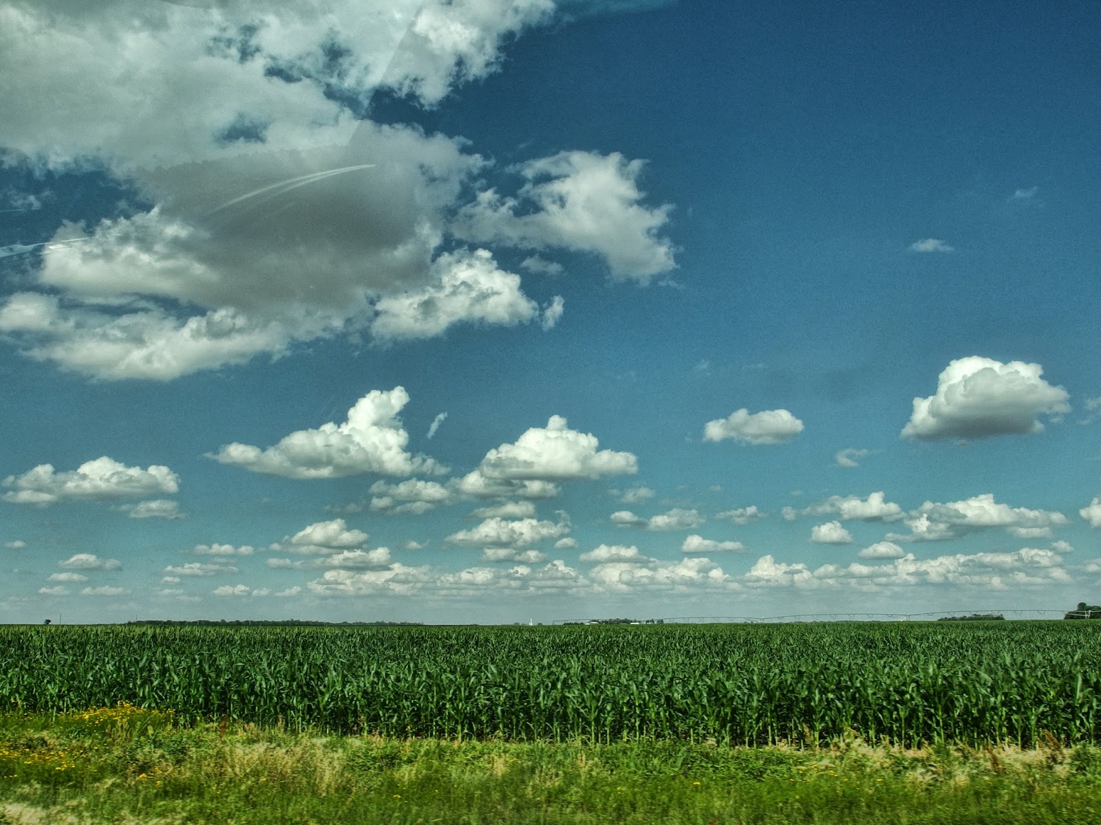 Phi Slamma Camera: Kansas / Center Pivot / Corn Field / Olympus XZ-2