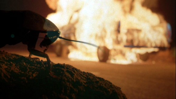 Ecocinema, Media, and the Environment: Bug (1975): Cockroach Movies and ...