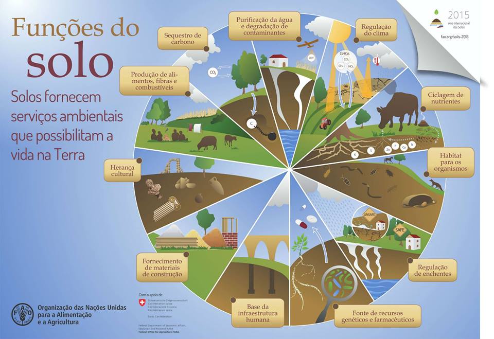 LINGUAGEM GEOGRÁFICA: FUNÇÕES DO SOLO