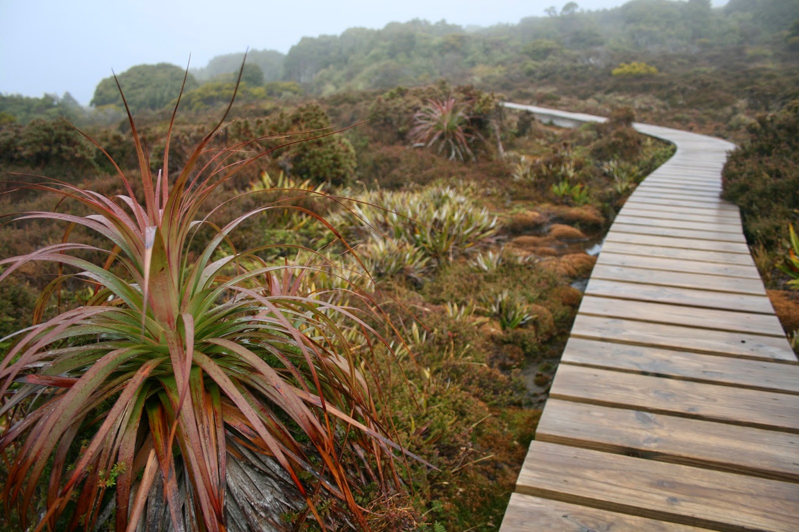 kensbigbackyard: Best bushwalks in each state in Australia