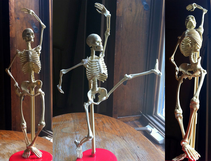 Labels: Anatomy , George Brown