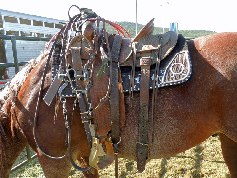 Prescott Area Daily Photo: Things You Might See At The Rodeo....Gear