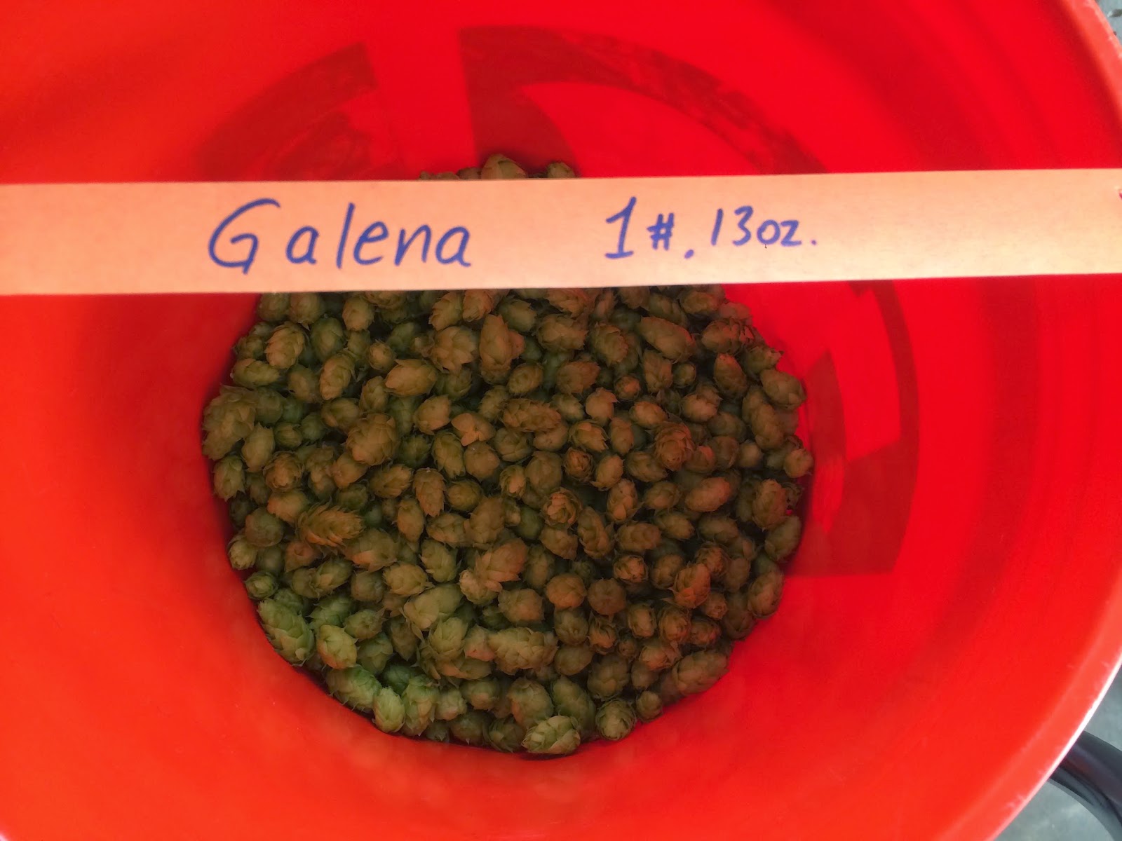 Stars & Bars Brewing Co.