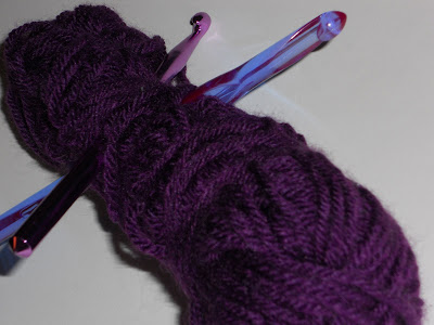 Daily Camille: Random Purple Things 99&100/365