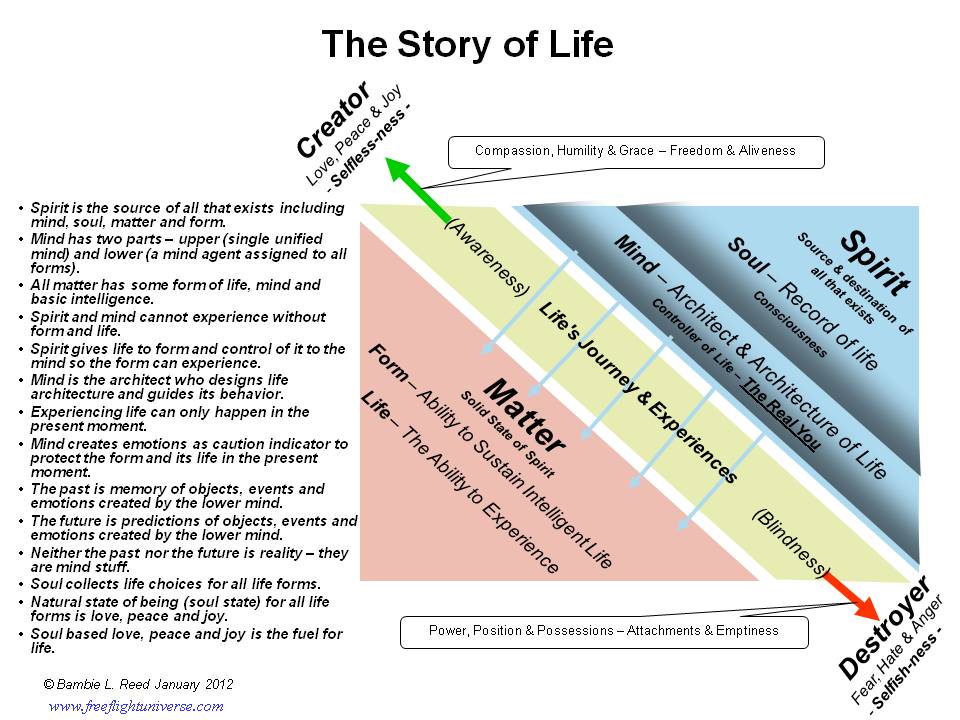 Bambie Reed's Blog: SHADOW RISING, THE ANTIDOTE, LIFE BEYOND THE SHADOW ...