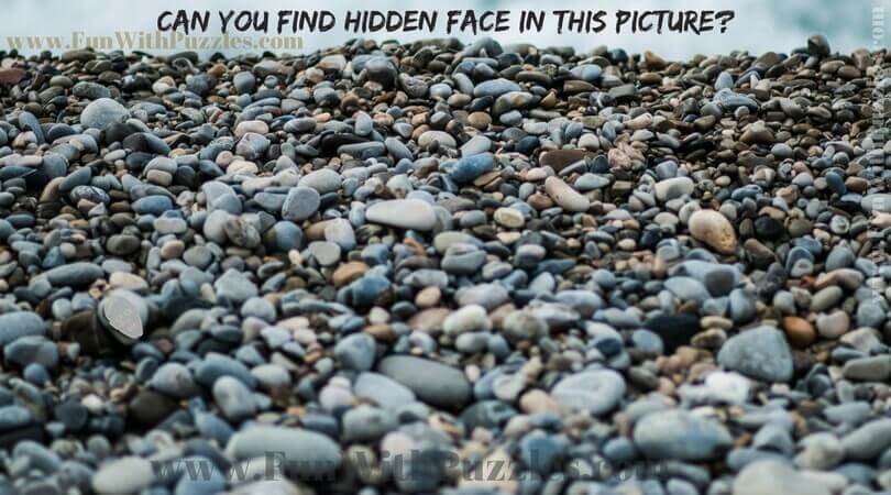 Hidden Face Picture Puzzle to test your Observational Skills