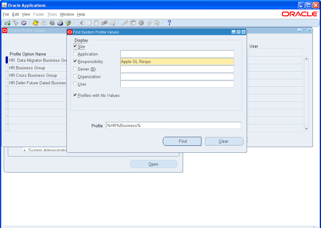 Oracle E-Business Suite R12 Financials: Defining Multi Organization