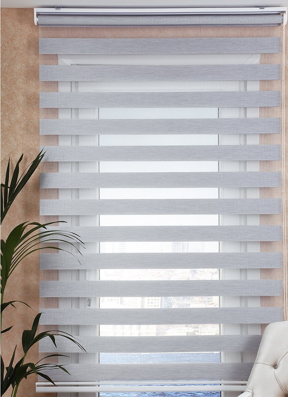 STOR VE ZEBRA PERDE: 2016