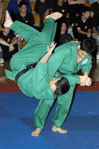 Karuchā Baruchā: Martial Art of the Month: South Korea - Yongmudo