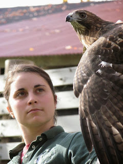 Adventures of a Zookeeper: Raptor Handling 101