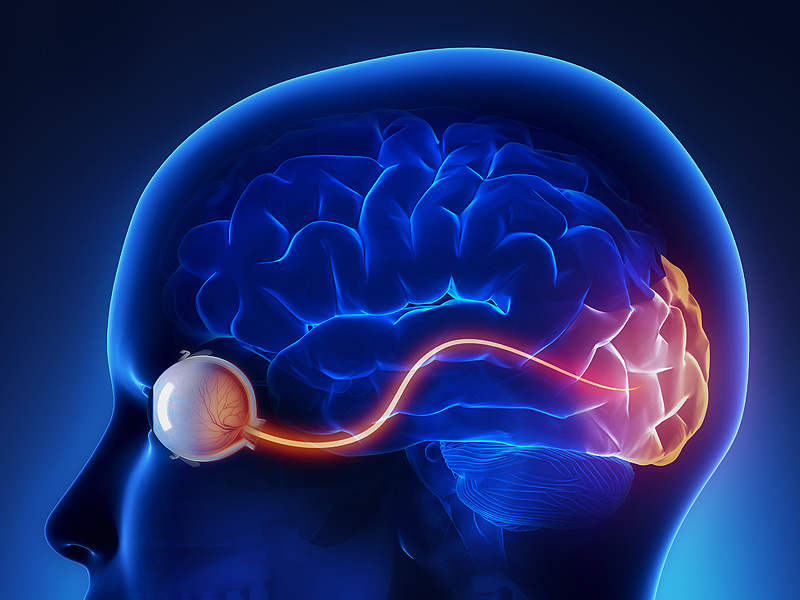 FIRST EVER VISION RESTORATION AFTER OPTIC NERVE INJURY IN MICE ...