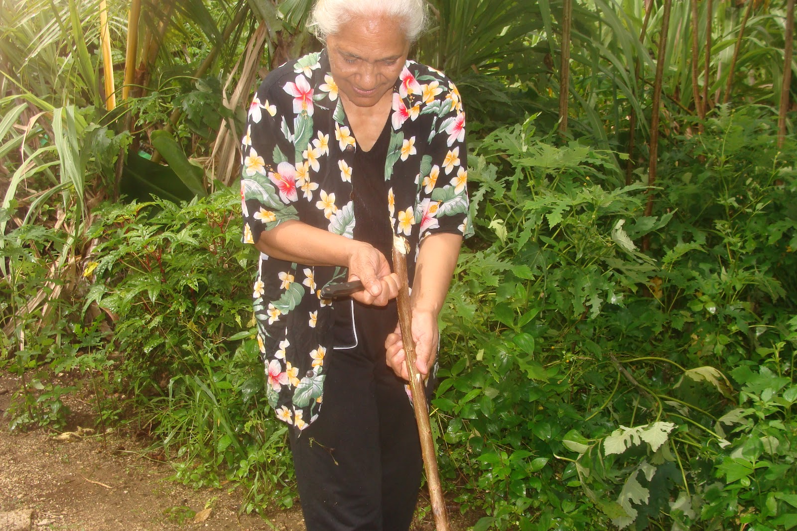 WallyandTeri "Tonga Tales": More On The Tongan People