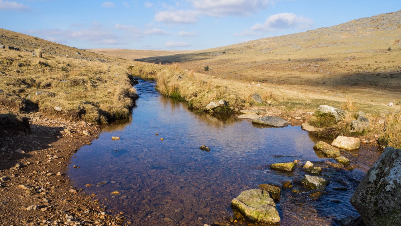My Dartmoor Walks: Saturday 21st March River Walkham