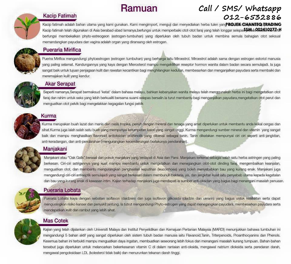 DIVITA - SIHAT JELITA : Kenapa Anda Perlu Memiliki Vitagrip??