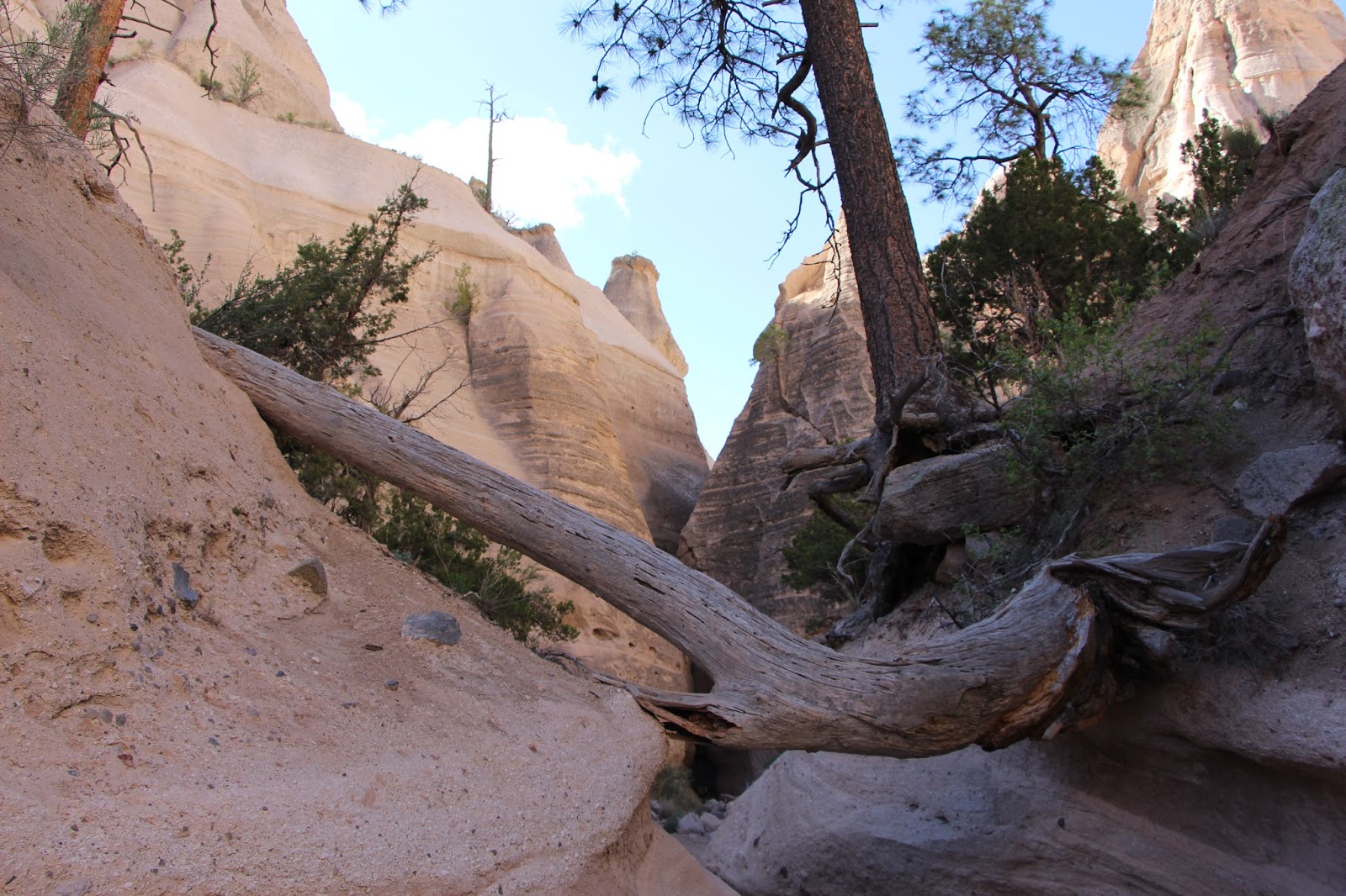 Kinou's World: 16 mai 2016 - Cochiti Lake > Tent Rocks > Cedar Crest ...