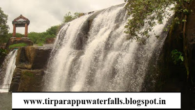 Tirparappu Water Falls: Falls Image