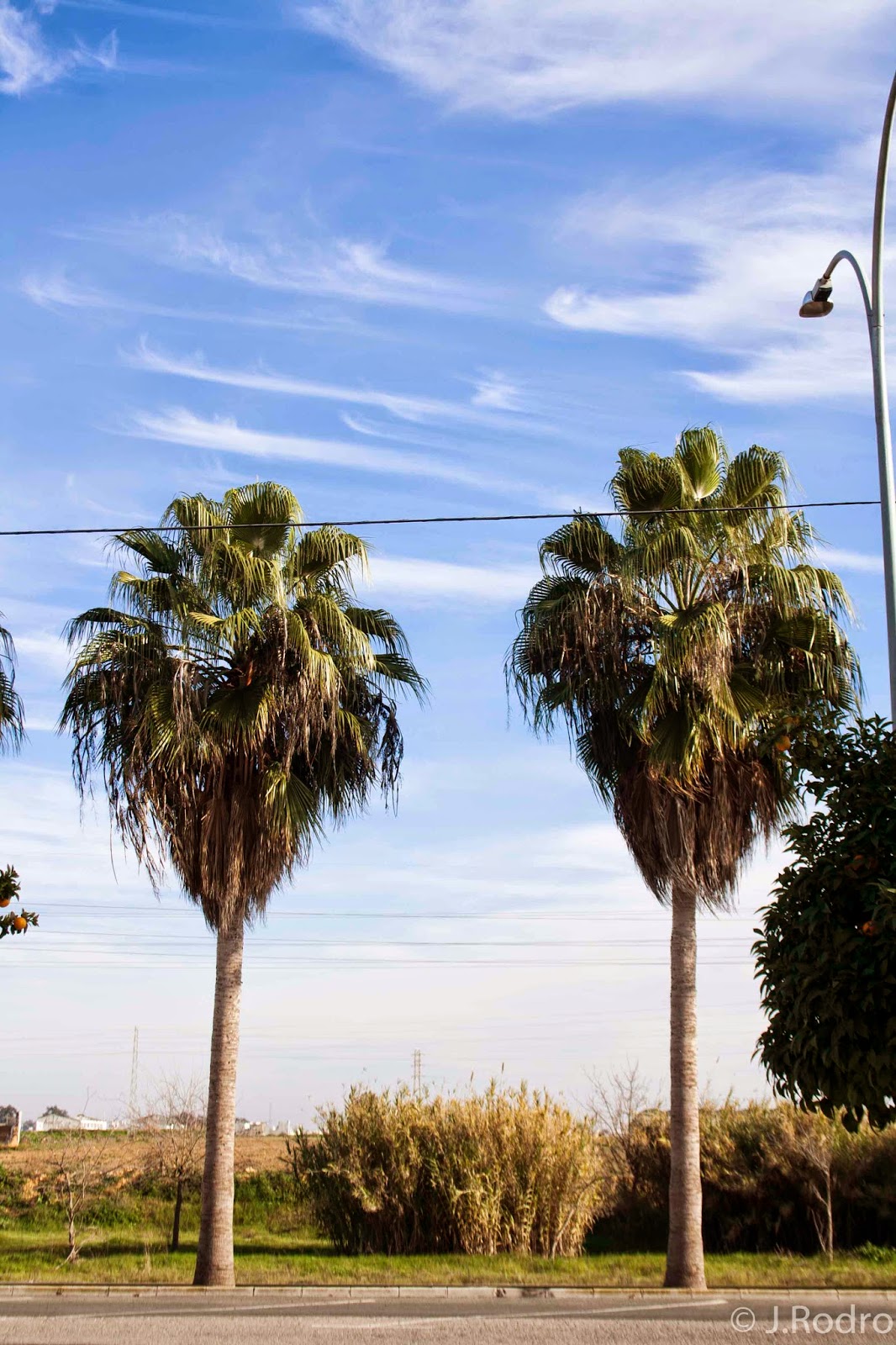 Fotografias J.Rodro: LÍNEA DE HORIZONTE
