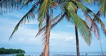 Turismo Panamá: Playa Ecológica El Agallito