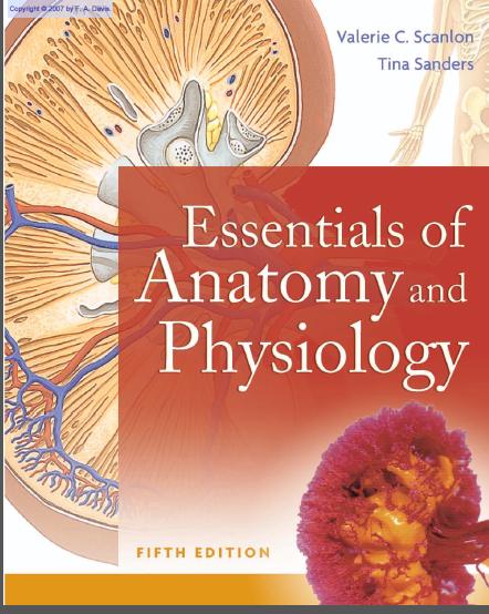 Essentials Of Anatomy And Physiology 5th Scanlon Ebook Kedokteran essentials-of-anatomy-and-physiology-5th-scanlon-ebook-kedokteran
