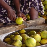 Fruits in Ghana: FRUITS IN GHANA AND ITS IMPORTANCE