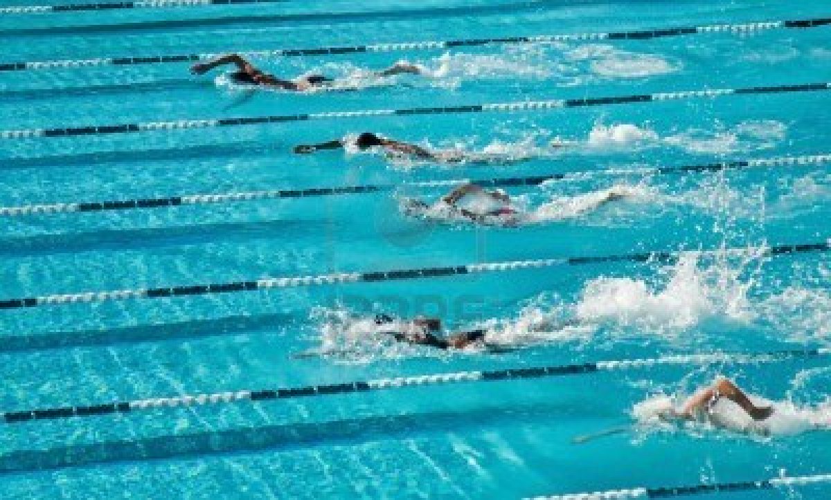 Programs For An Athlete : Science in Sports Swimming