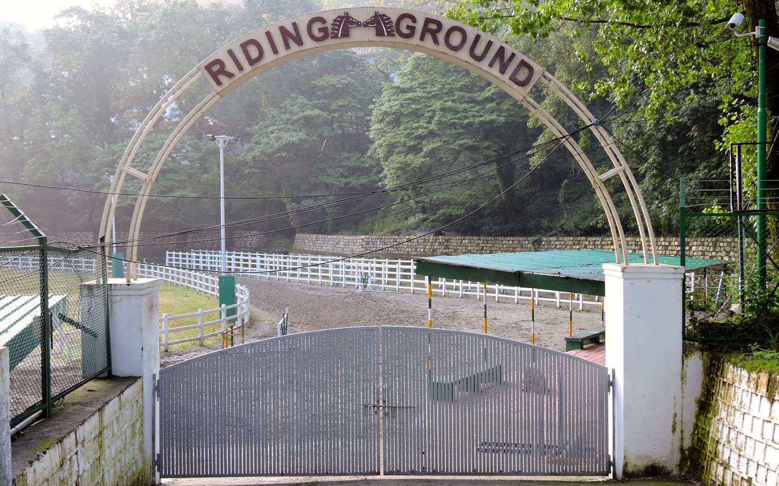 Labasna: Hear it from the horse's mouth