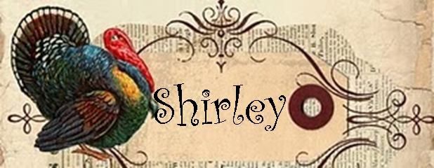 Zetta's Aprons: My Putz House from Deb!