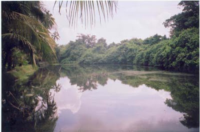 History of Tipu Sultan Fort in Chettuva - TravelHome