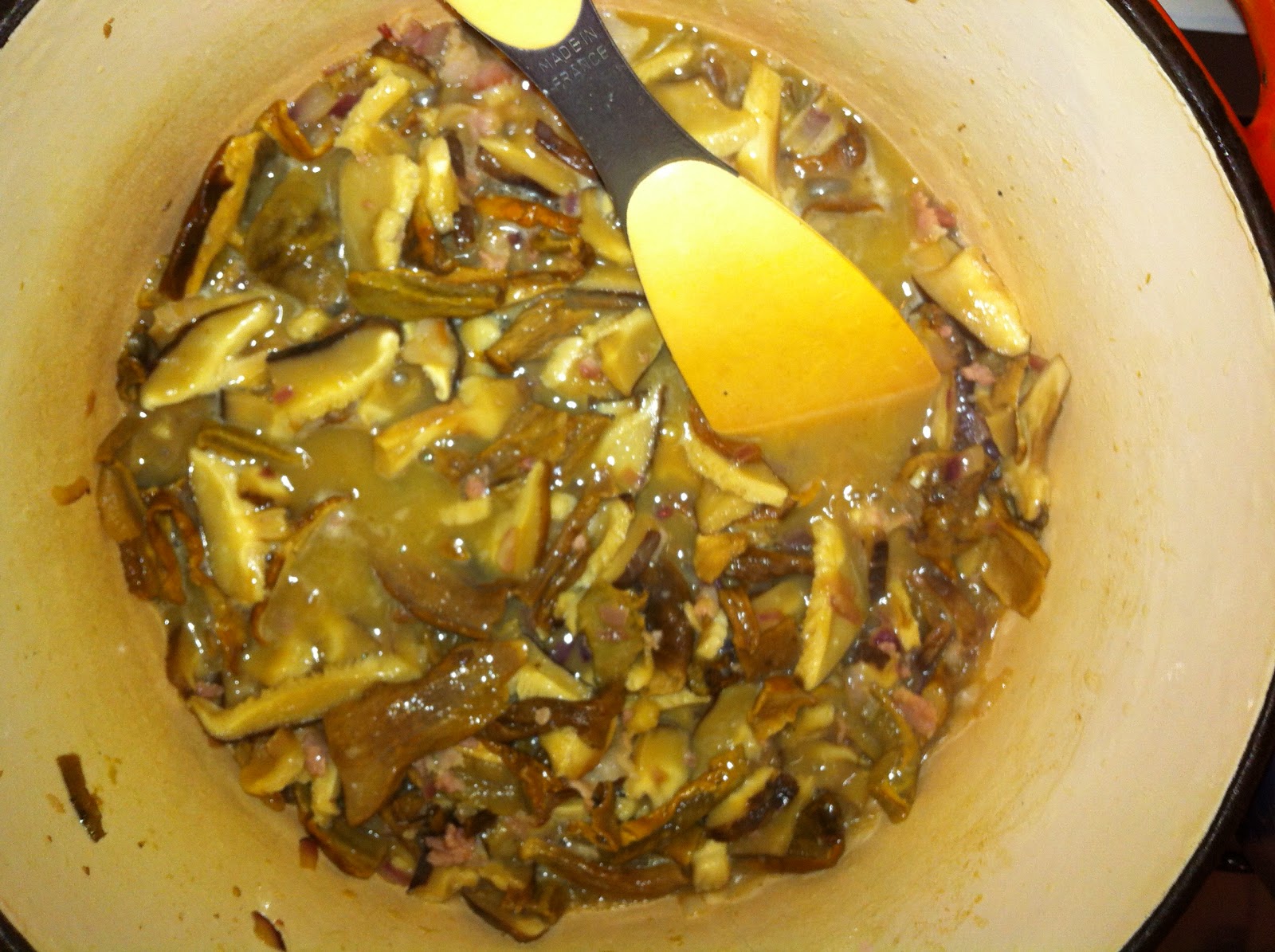 GASTRONOMIA GASTROENTEROLÓGICA: PENNE AL FUNGHI