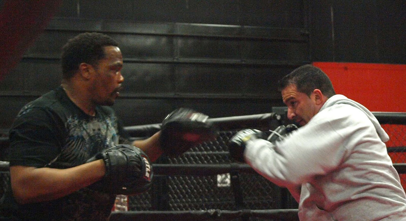 The Cool Justice Report: Bob Thiesfield Photo Gallery Middletown, CT ...