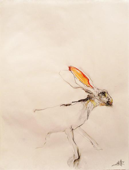 layers: Year of the Rabbit