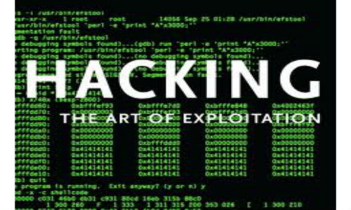 Easy Go Hacking