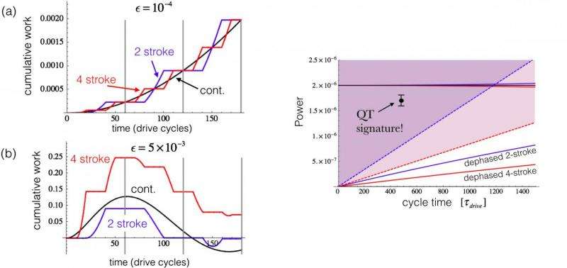 What is quantum in quantum thermodynamics?
