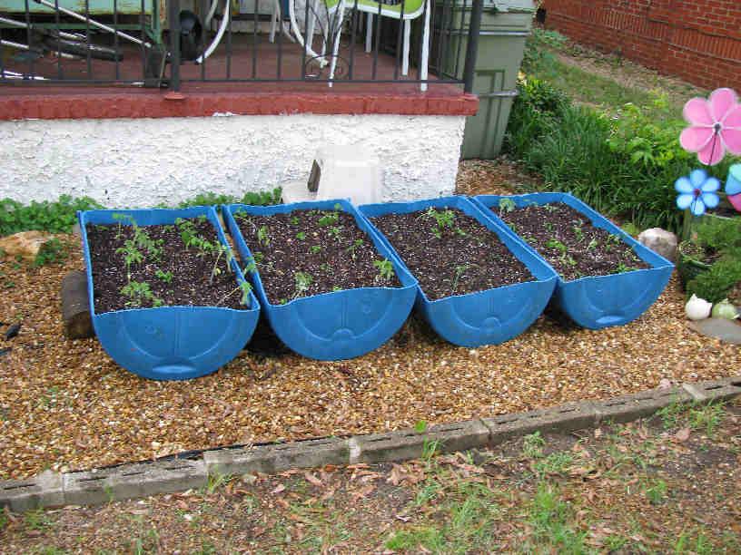 BAMA_MEDIC: 55 gallon planter project