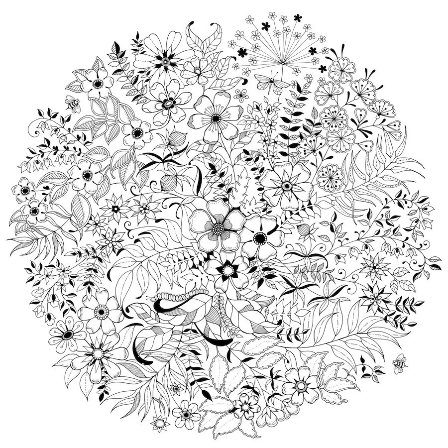 Pobarvanka za odrasle