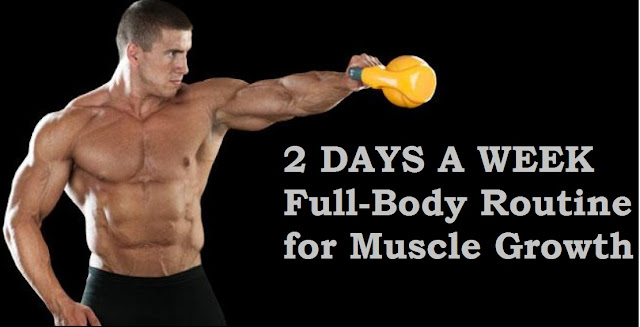 Muscle Palace: Build Muscle Mass With 2 Days Per Week Full-Body Program
