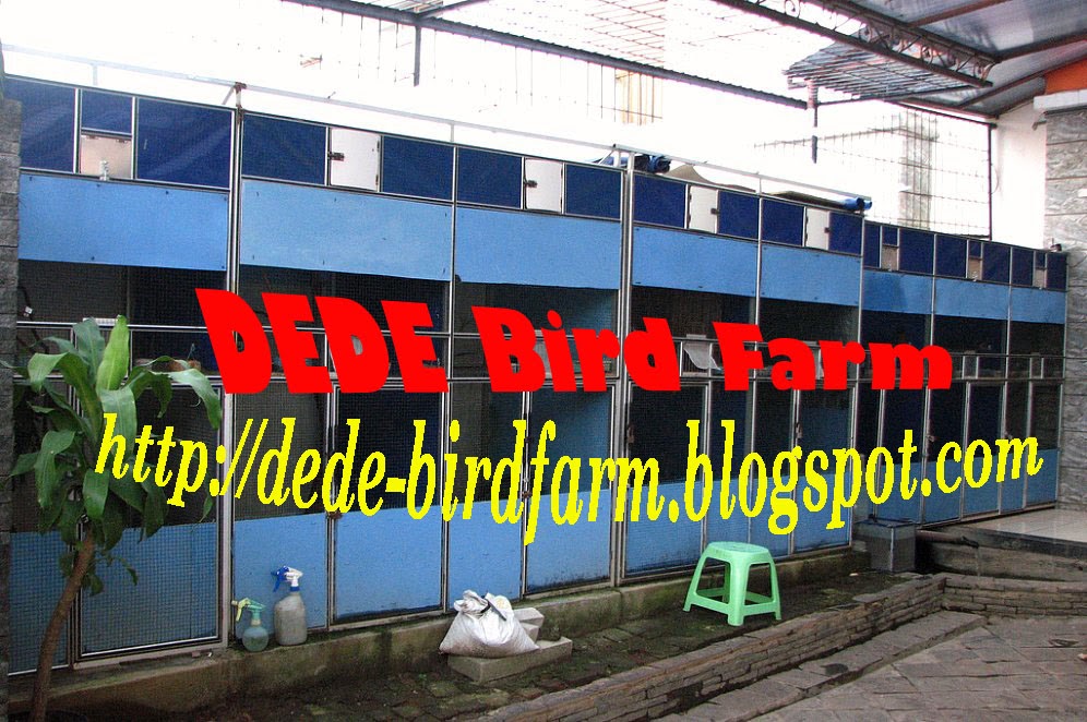 DEDE Bird Farm
