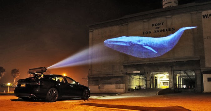 Racing Extinction - DVD Review | Film Intel