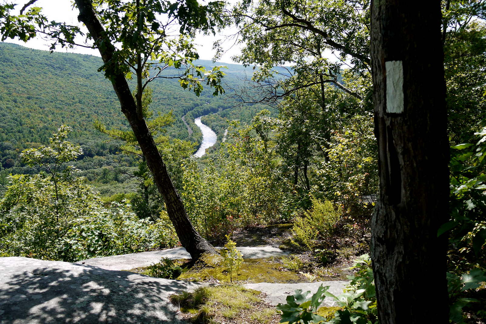 Along the NET-Cohos: MA NET Section 16: Hermit Mountain