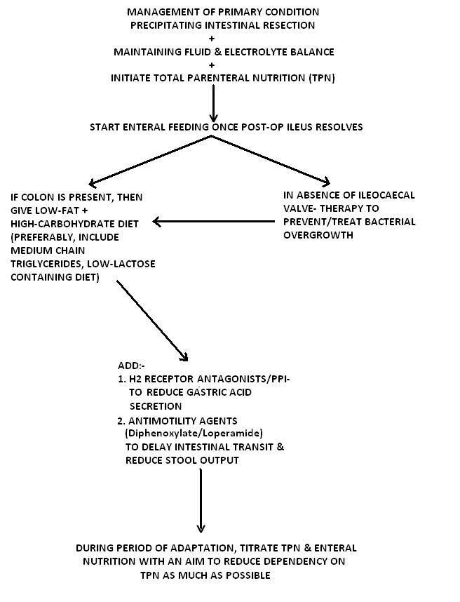 Medicine Unleashed!!!: SHORT BOWEL SYNDROME
