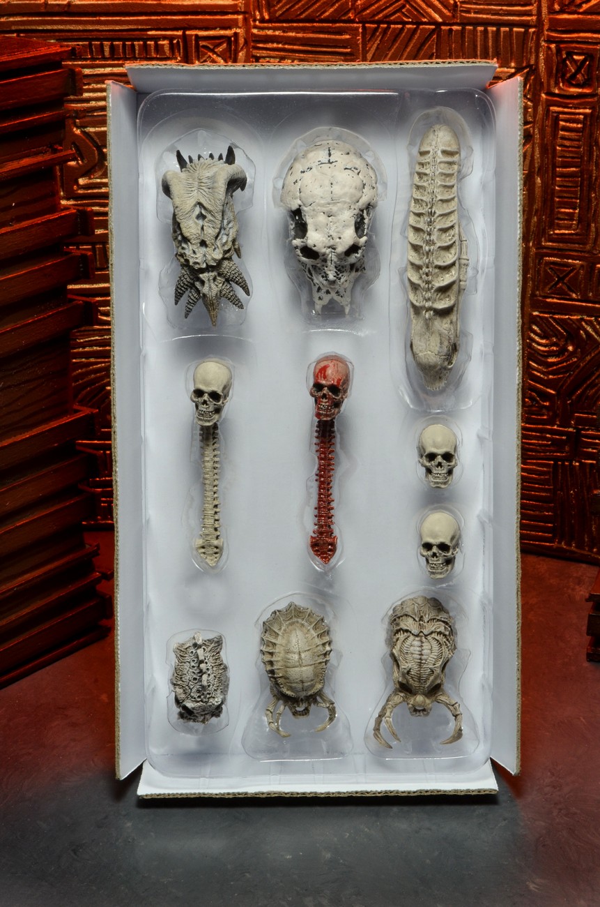 Angry Koala Gear (Vintage): NECA Launches Predator Limited Edition ...