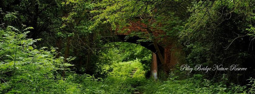 Pilley Bridge Nature Reserve