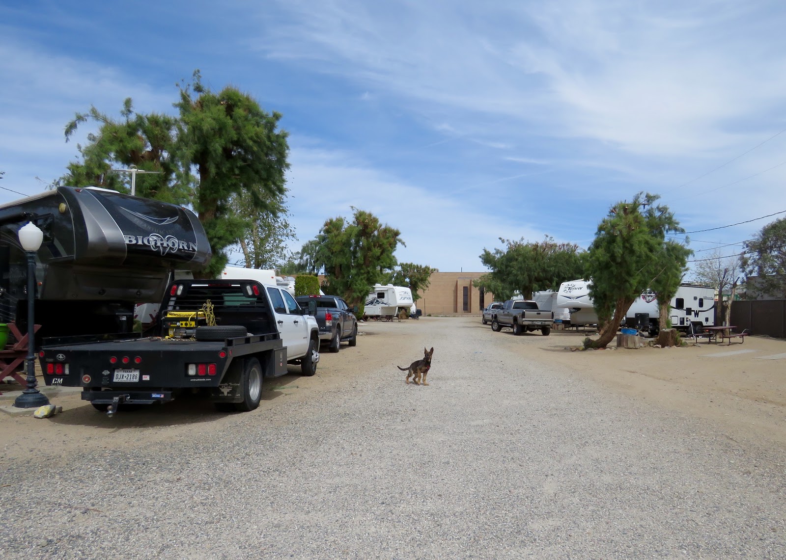 Winds of Destiny - RVLife: Shady Lane RV Camp, April 13 to April 20, 2016