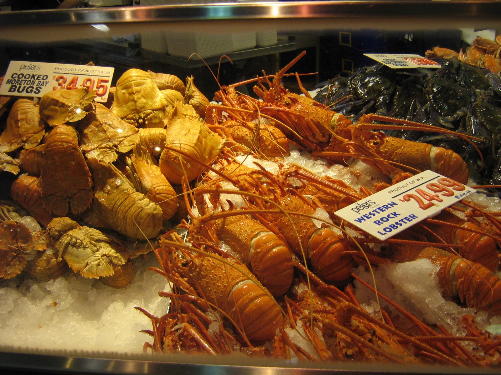Kerancia: Sydney Fish Markets & Fish Market Cafe