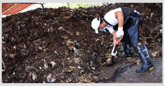 ELABORACIÓN DE COMPOSTA: RECOMENDACIONES