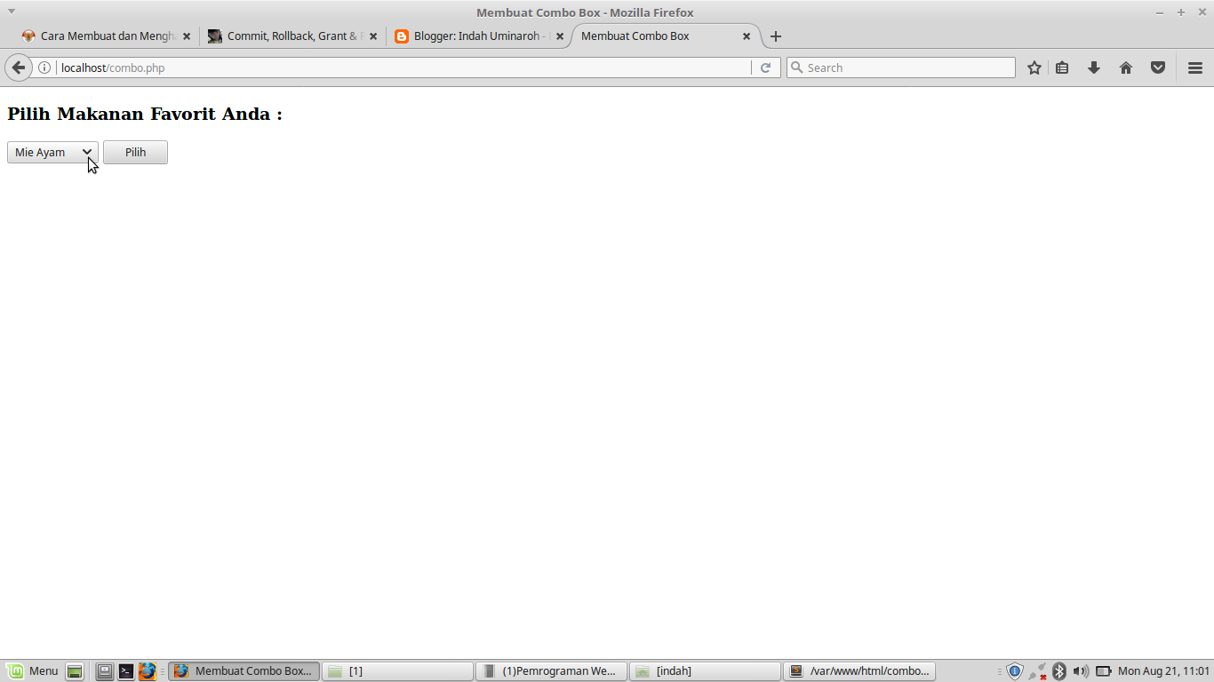 Cara Membuat Tampilan Combo Box dan CSSnya - Indah Uminaroh's Blog