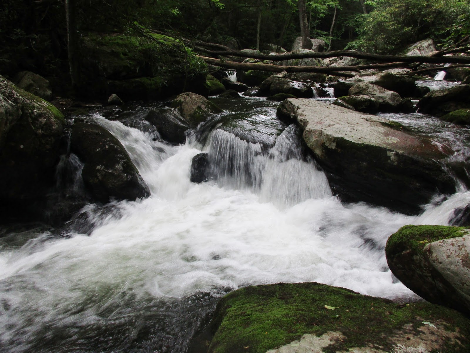 Smoky Scout's Hiking Adventures: Virginia's Best: Cascades & Barney's Wall