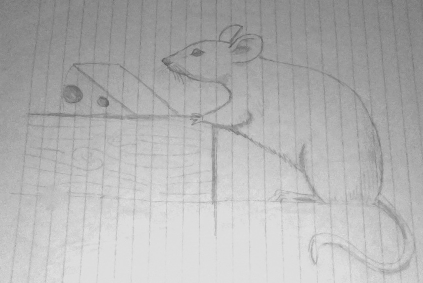 In the Boots of a Farm Girl: Artistic Tuesday: Mouse eating Cheese Sketch