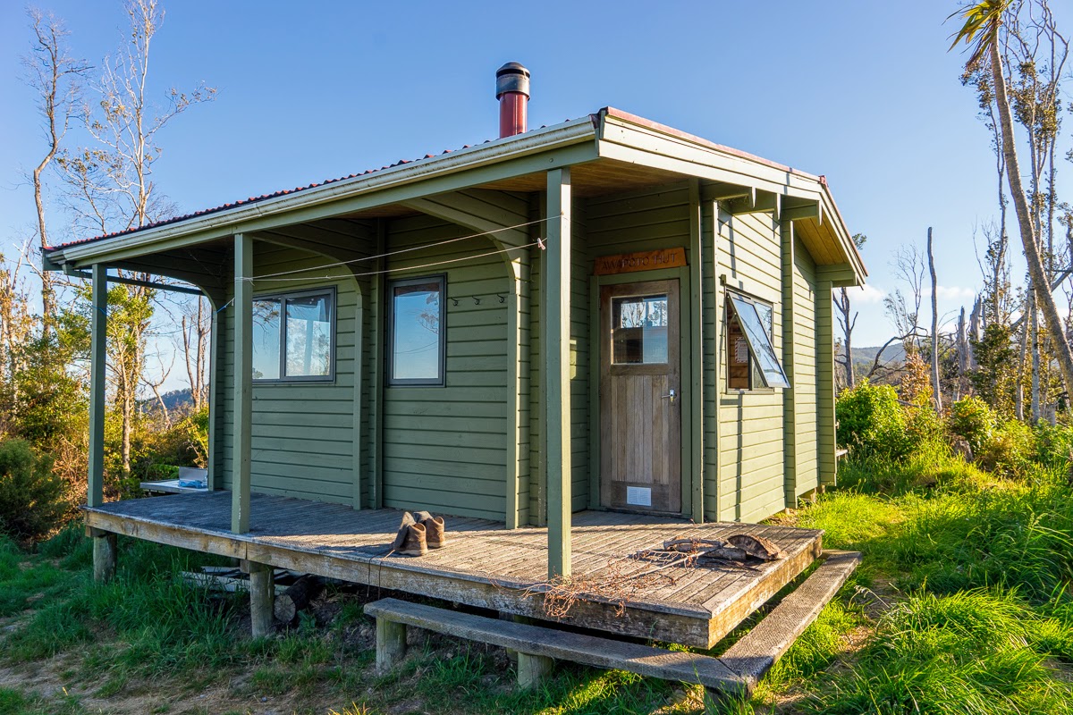 Tramping in the New Zealand backcountry: NZ Bush Adventures: A curious ...