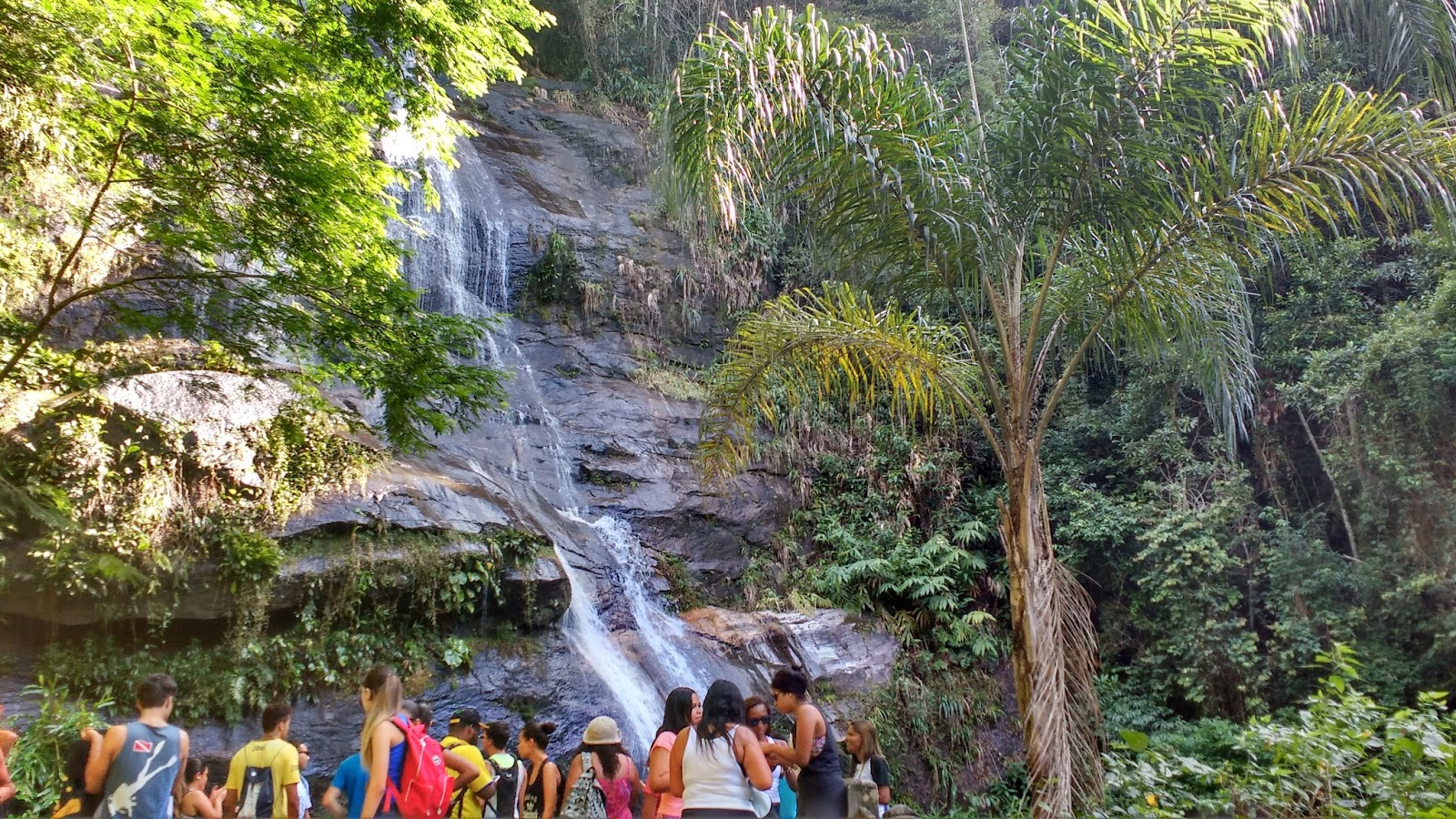 RIO DE JANEIRO: Floresta da Tijuca | Brasileira Viajante